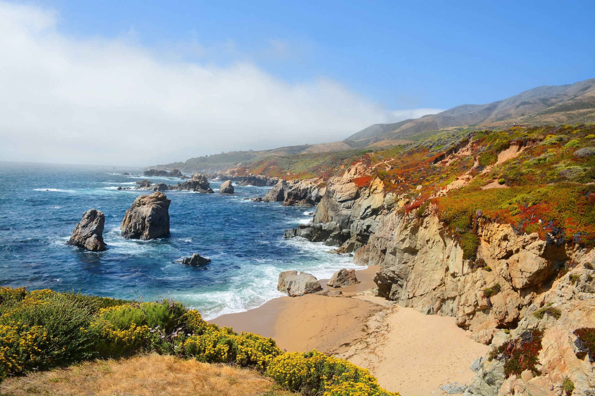 9 Best Beaches in & Around Monterey, California | Celebrity Cruises