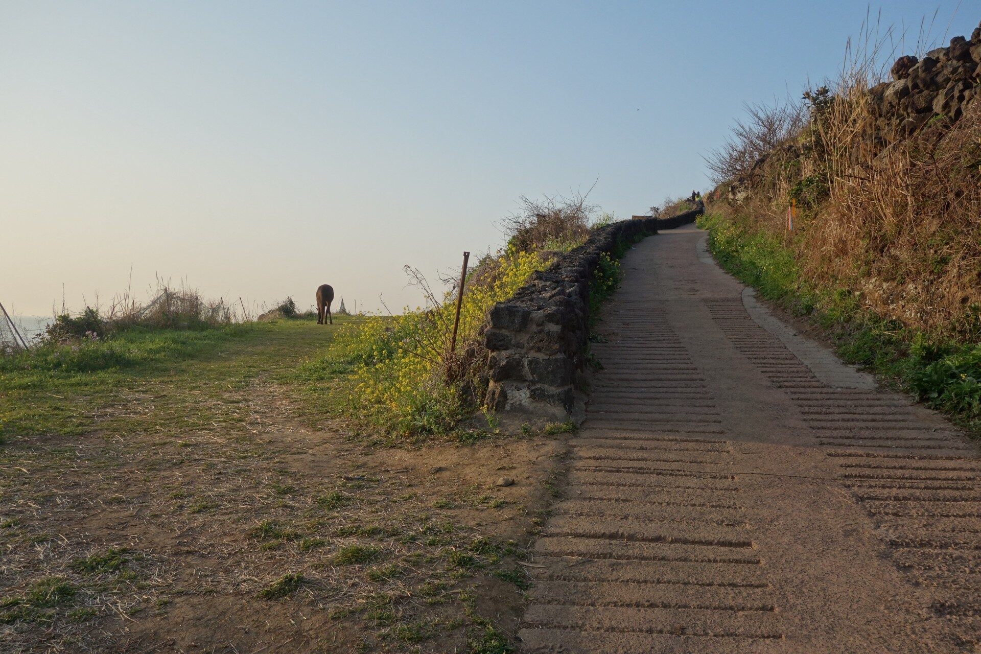 11 Best Beaches on Jeju Island | Celebrity Cruises