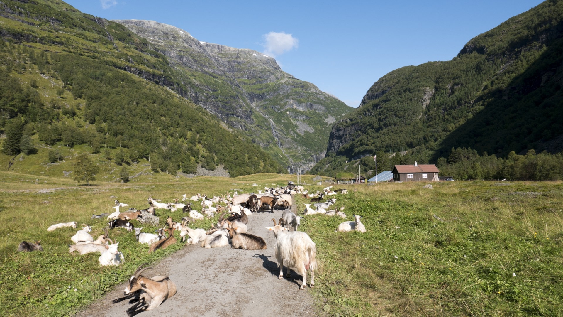 Insider's Guide to Flåm, Norway | Celebrity Cruises