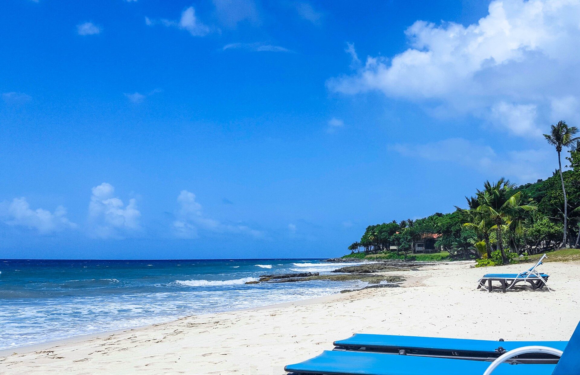 13 Best Places to Go Snorkeling in St. Croix | Celebrity Cruises