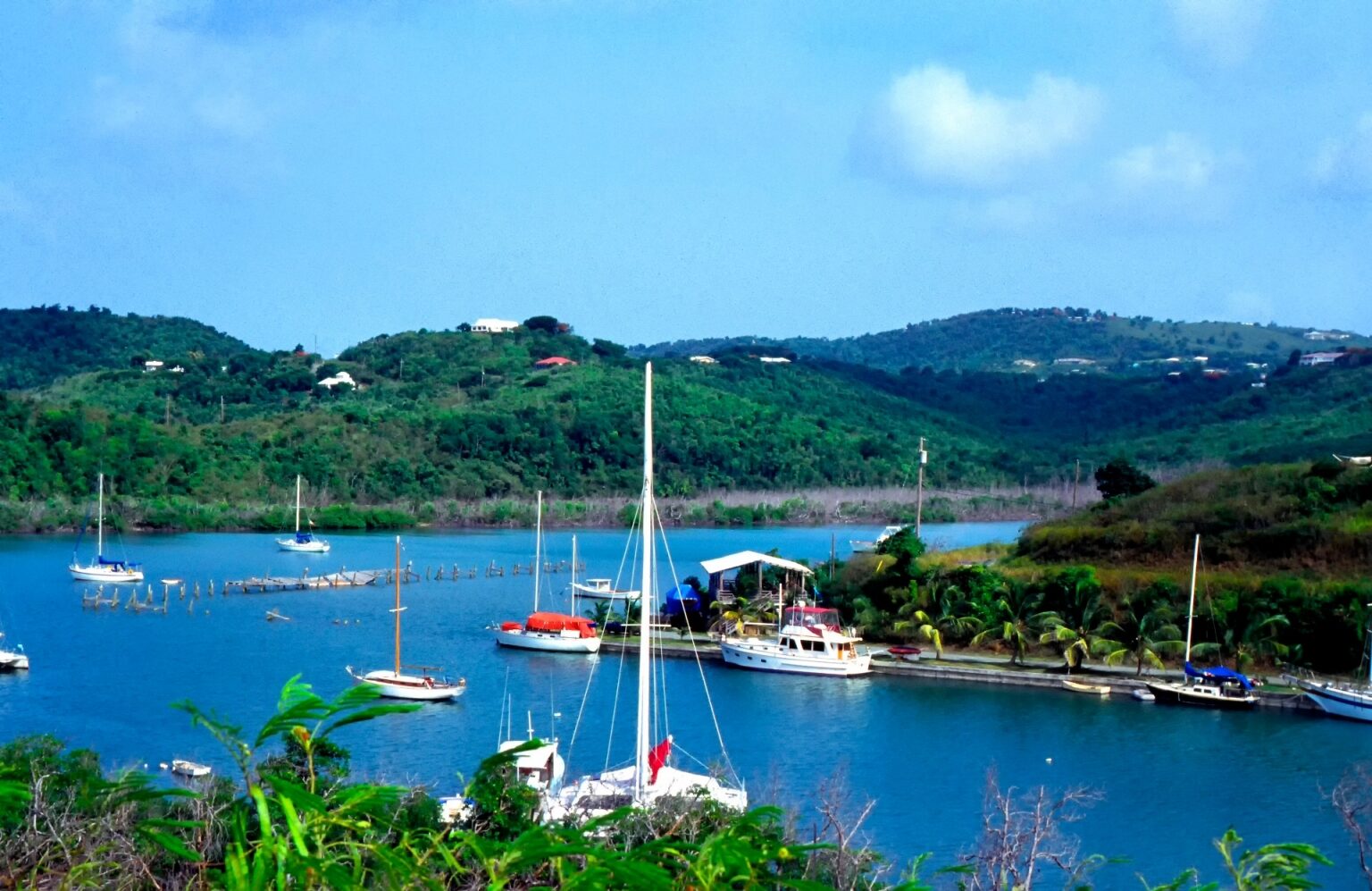 13 Best Places to Go Snorkeling in St. Croix | Celebrity Cruises