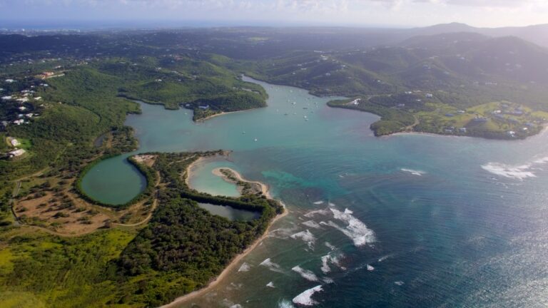 13 Best Places to Go Snorkeling in St. Croix | Celebrity Cruises