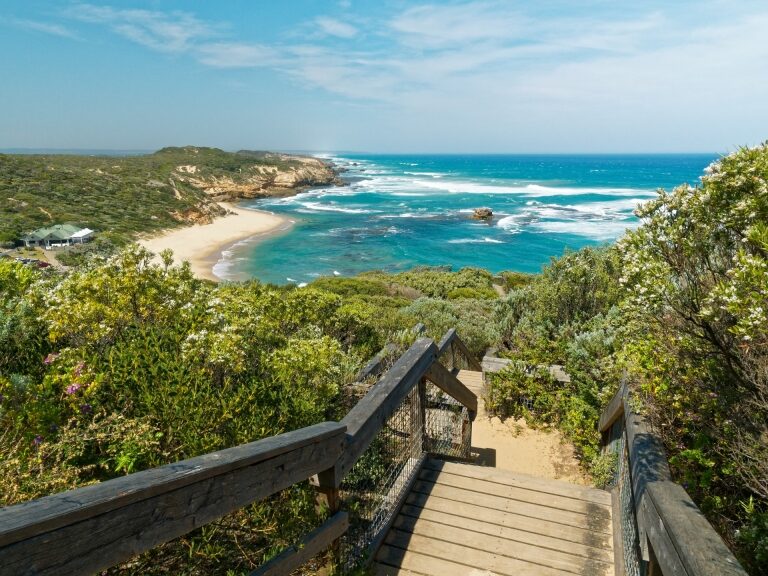 14 Best Beaches in Melbourne, Australia | Celebrity Cruises