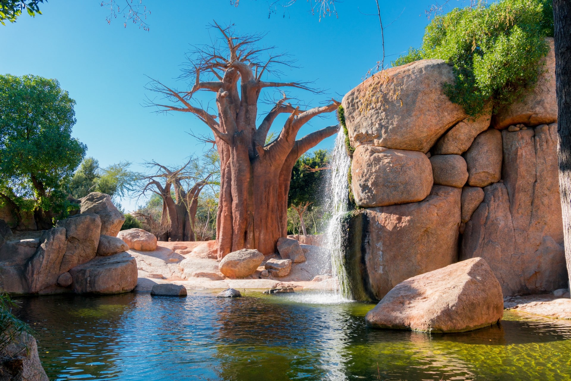 16 Best Things to Do in Valencia Spain | Celebrity Cruises