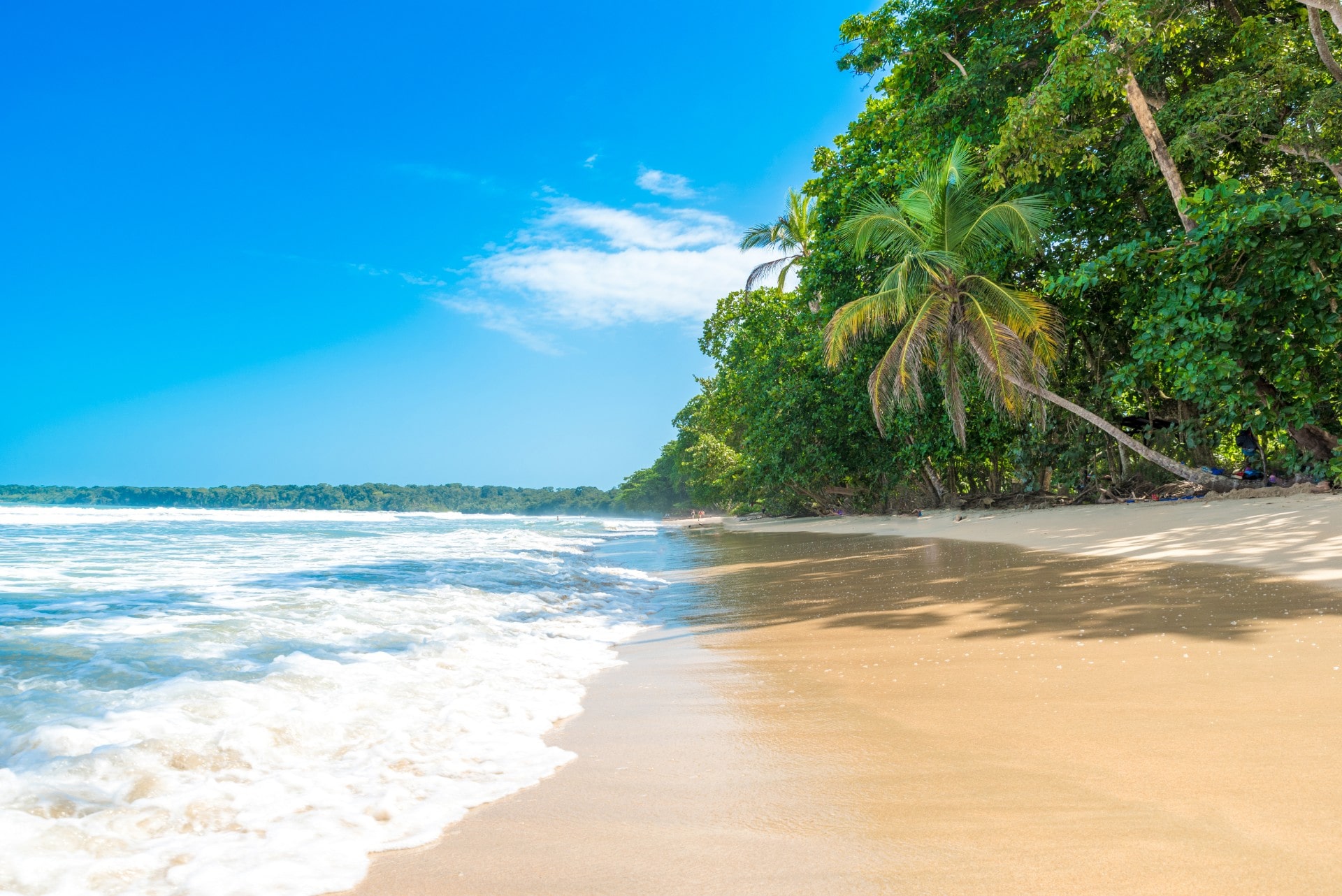 What Is Costa Rica Known For? | Celebrity Cruises