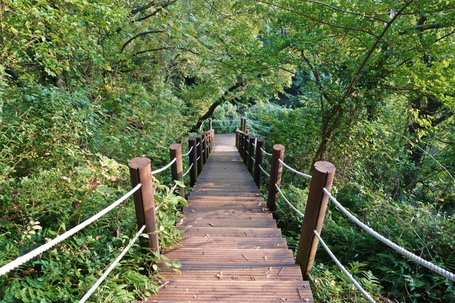 13 Best Things to Do on Jeju Island | Celebrity Cruises