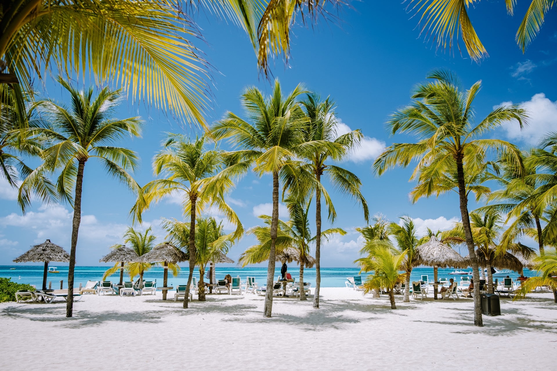 12 Best Places to Go Shopping in Aruba | Celebrity Cruises