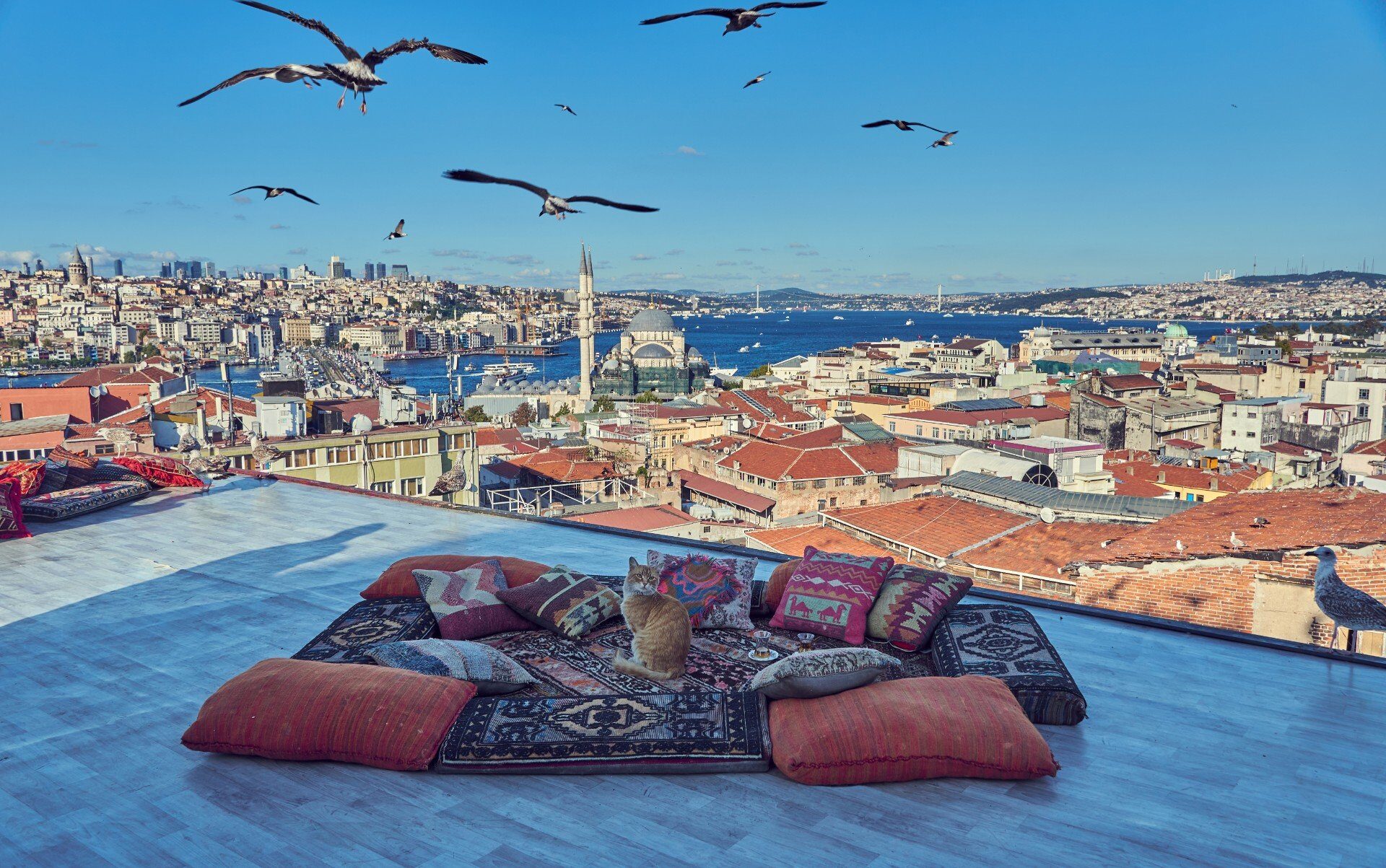 When Is the Best Time to Visit Turkey? | Celebrity Cruises