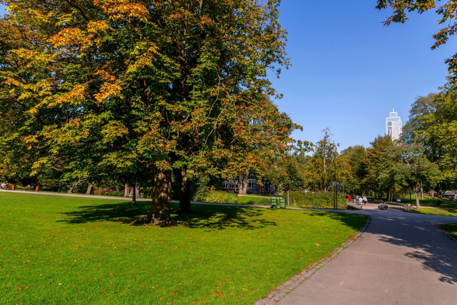 16 Best Things to Do in Rotterdam | Celebrity Cruises