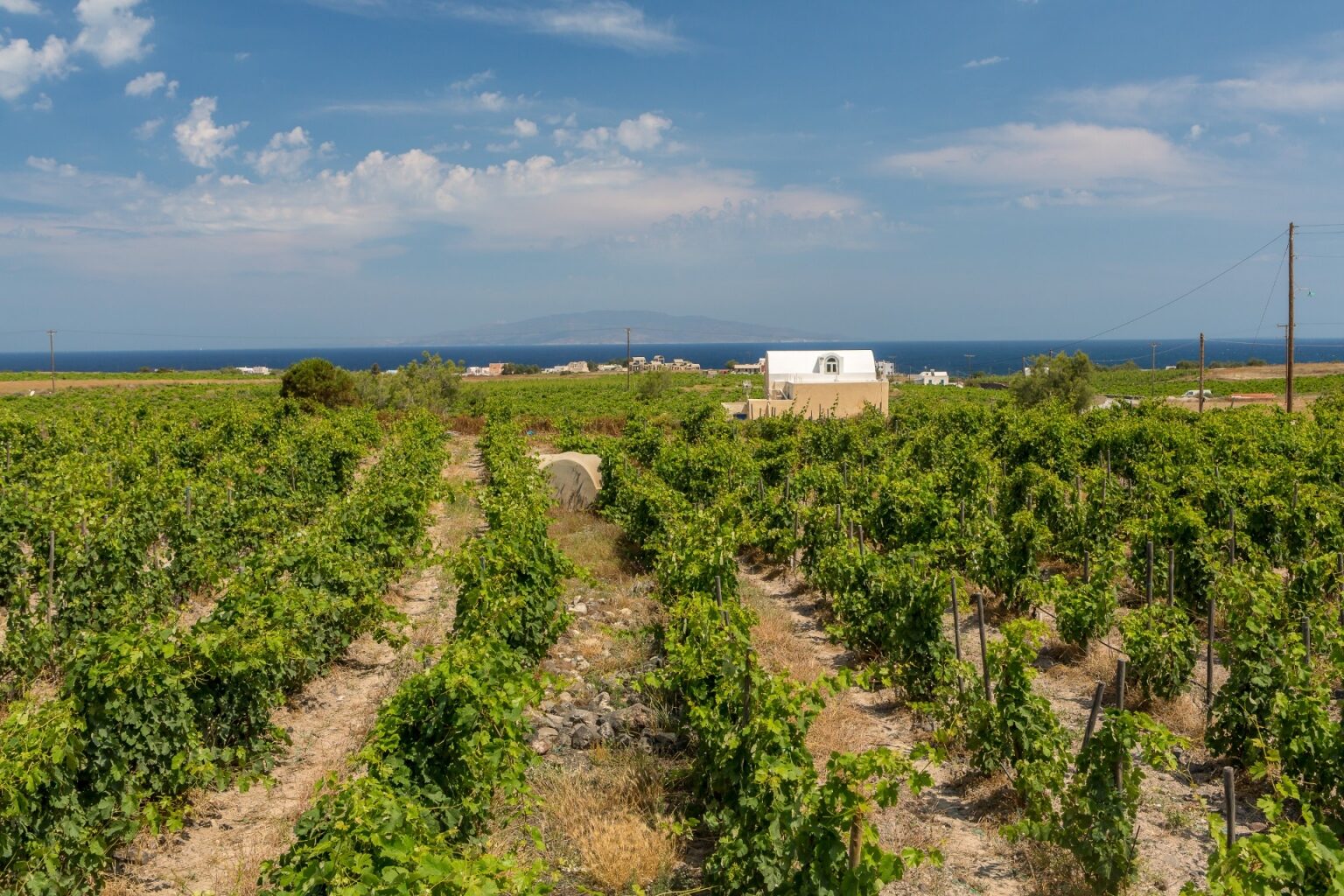 Insider's Guide to Oia in Santorini, Greece | Celebrity Cruises