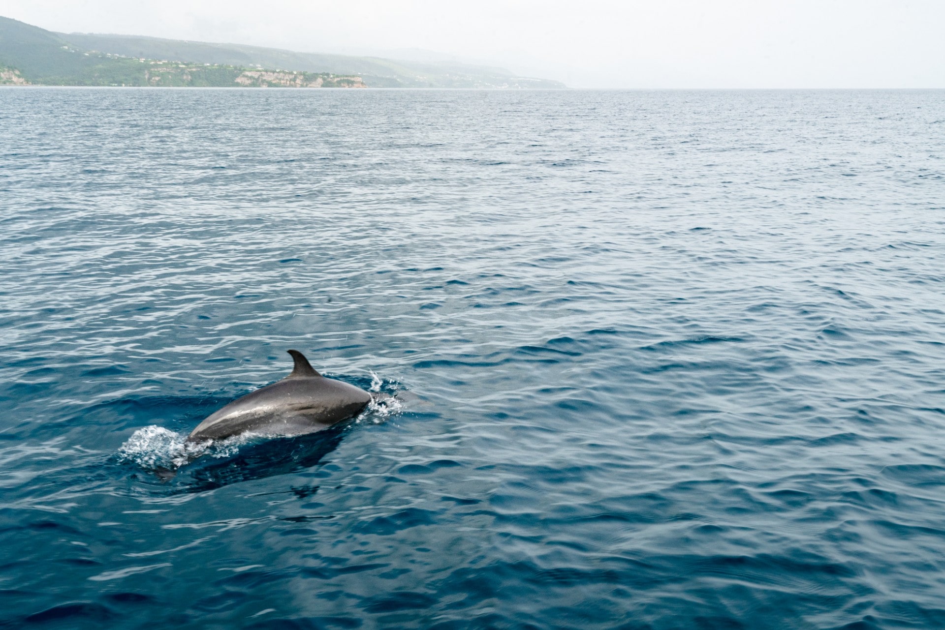 14 Things to Do in the Caribbean & The Bahamas With Kids | Celebrity ...