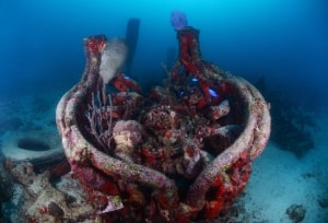 ABC Islands Cruises: Aruba, Bonaire & Curaçao | Celebrity Cruises