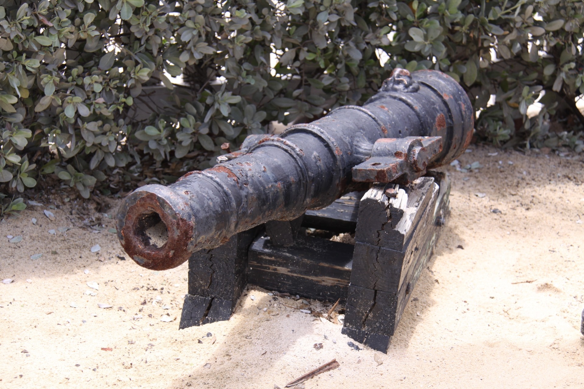 Insider’s Guide to George Town, Grand Cayman | Celebrity Cruises