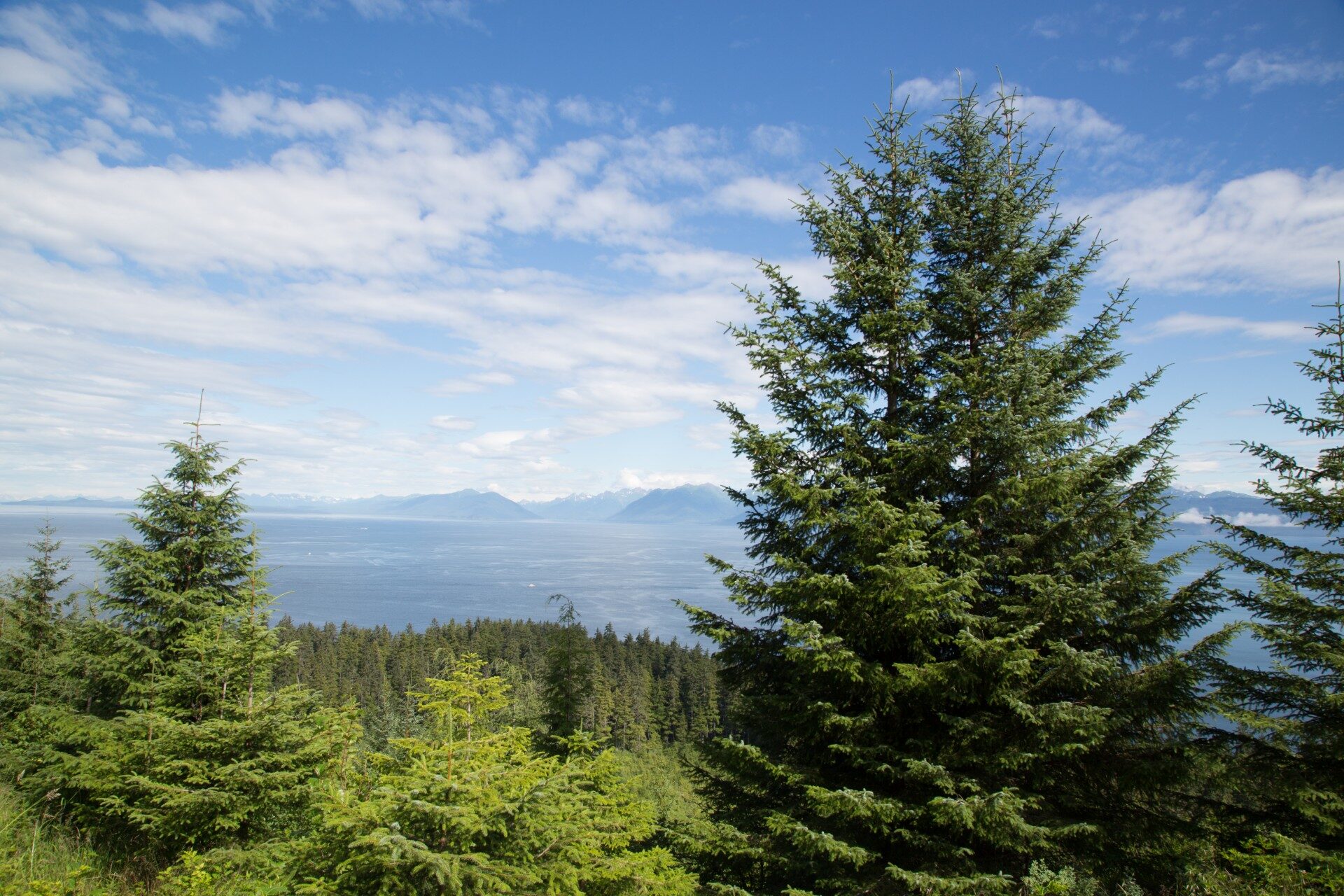 20 Must-Do Experiences in Alaska | Celebrity Cruises