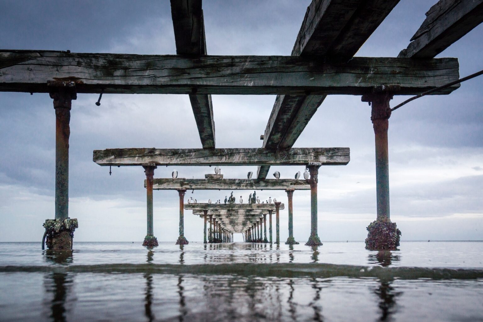 15 Best Things to Do in Punta Arenas | Celebrity Cruises