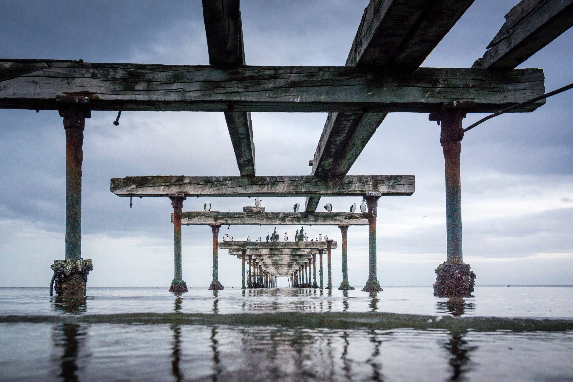 15 Best Things to Do in Punta Arenas | Celebrity Cruises