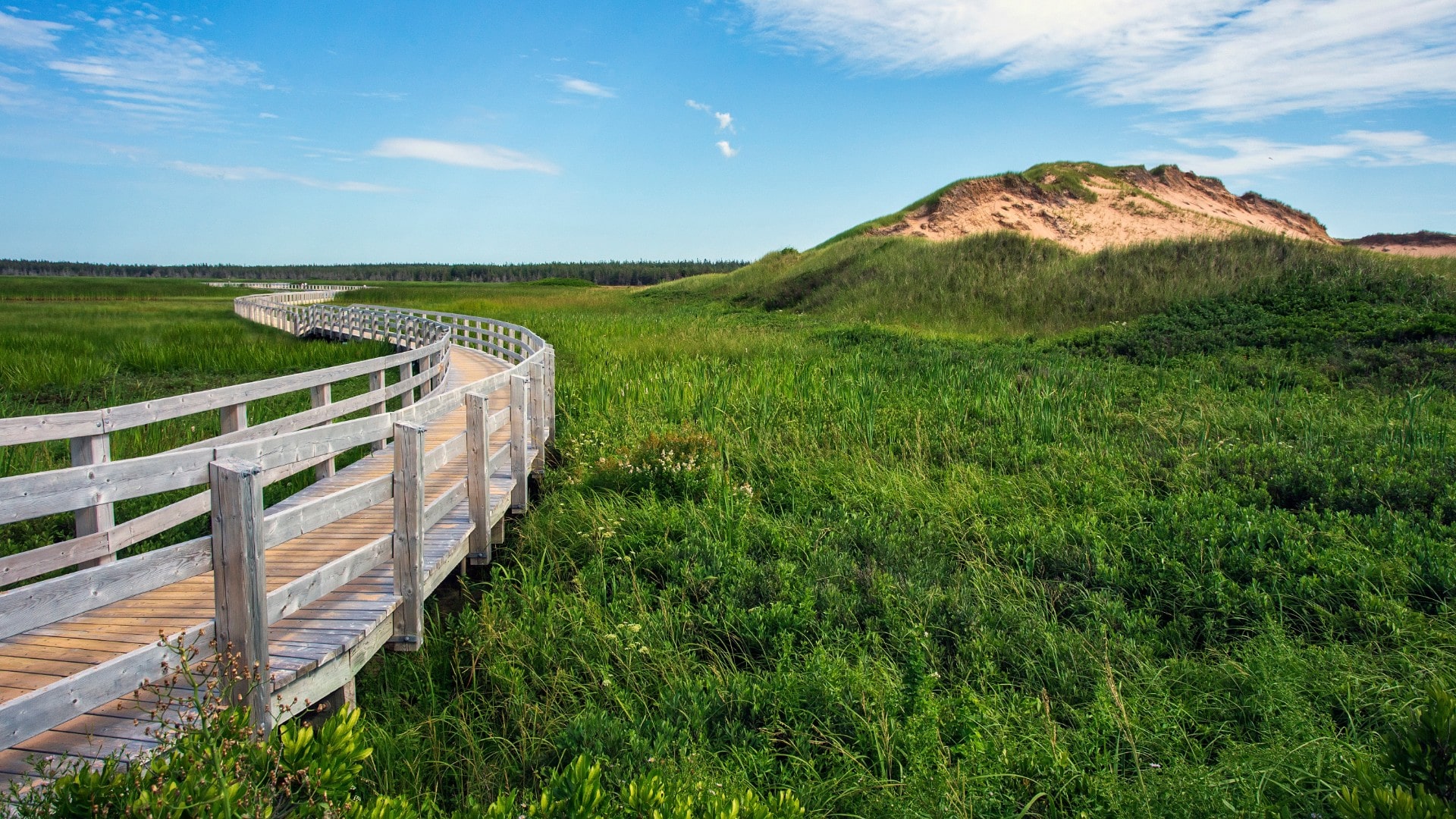 15 Best Things to Do in Charlottetown, PEI | Celebrity Cruises