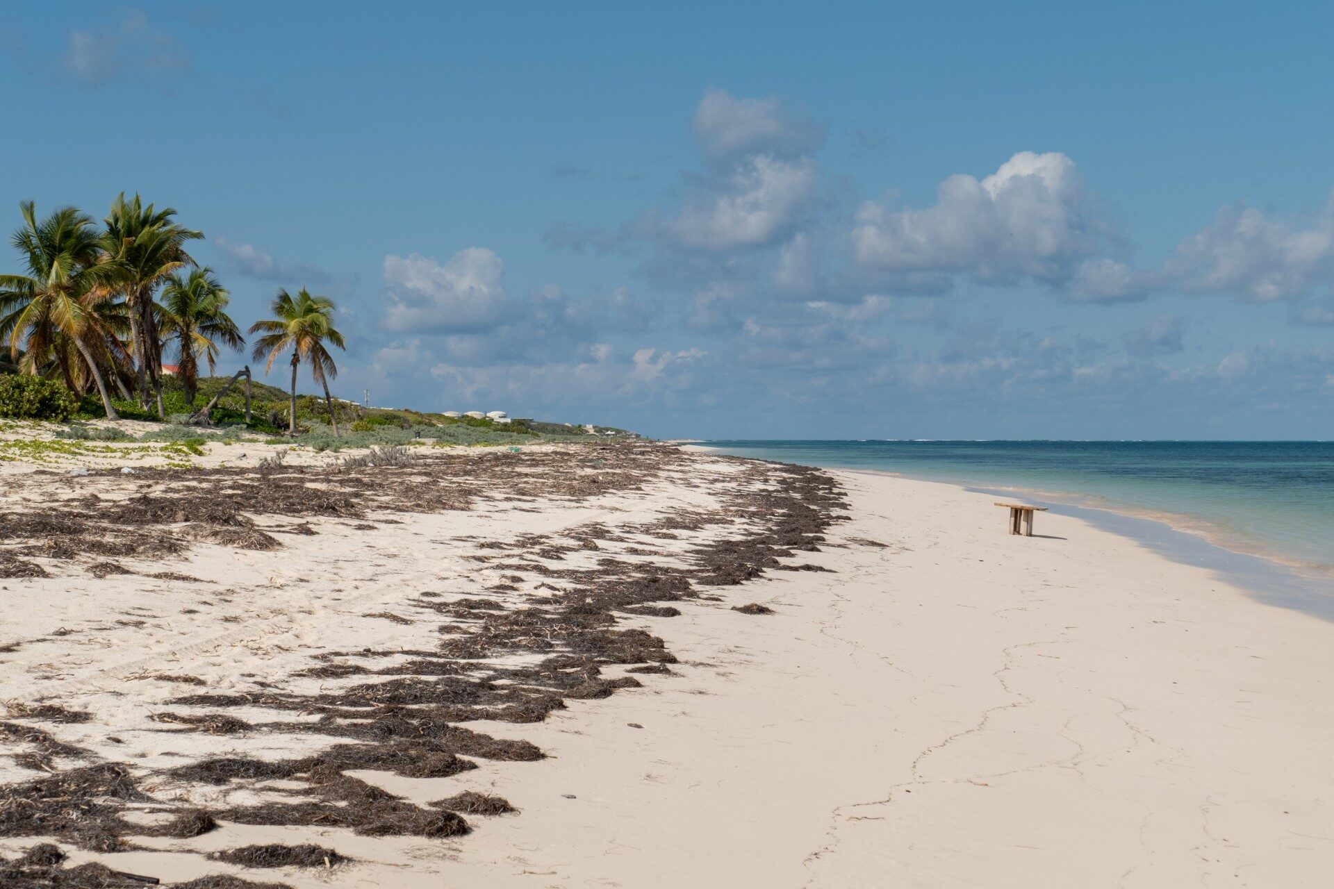 11 Best Beaches in Turks and Caicos | Celebrity Cruises