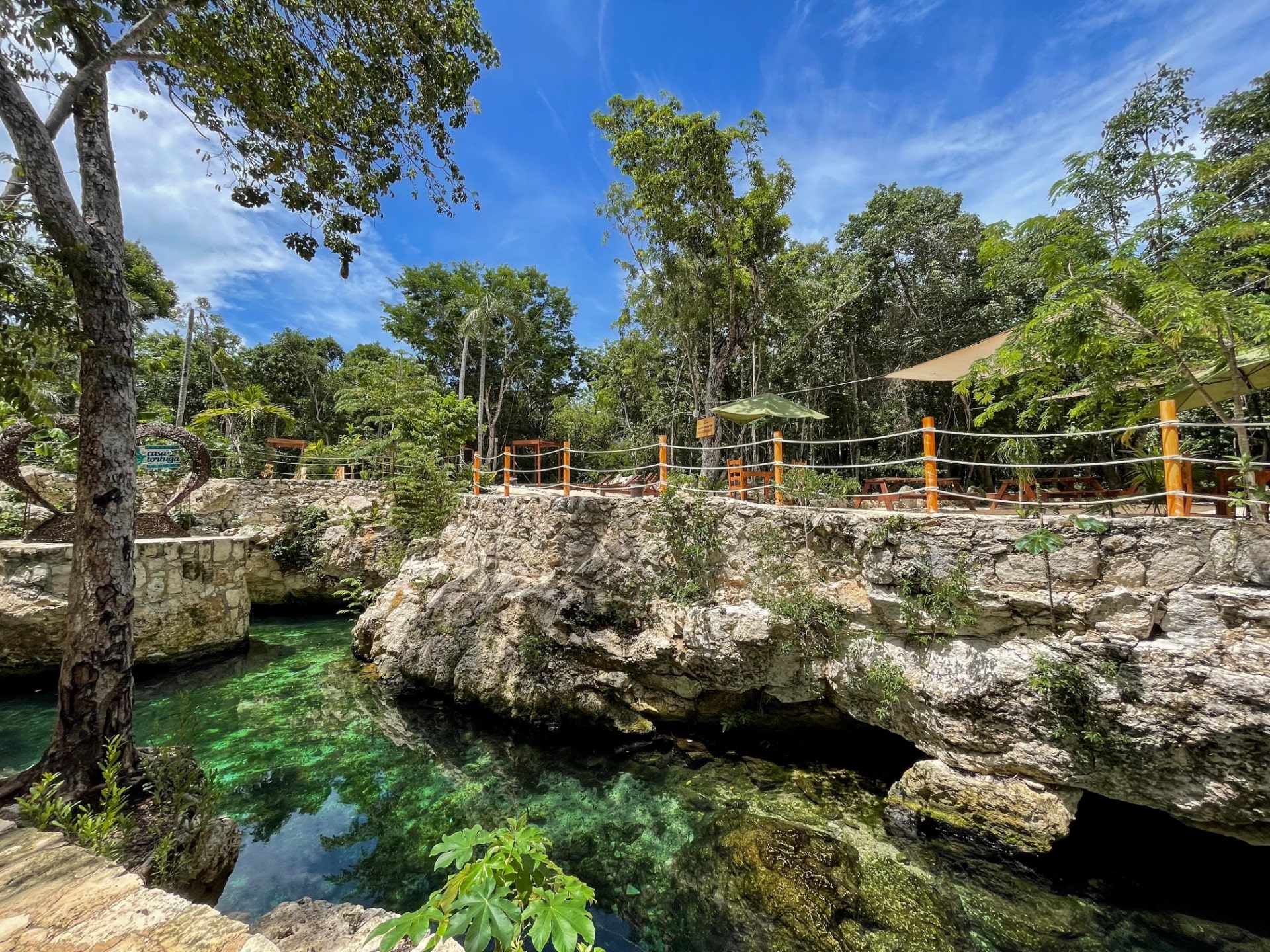 12 Best Cenotes in the Riviera Maya | Celebrity Cruises