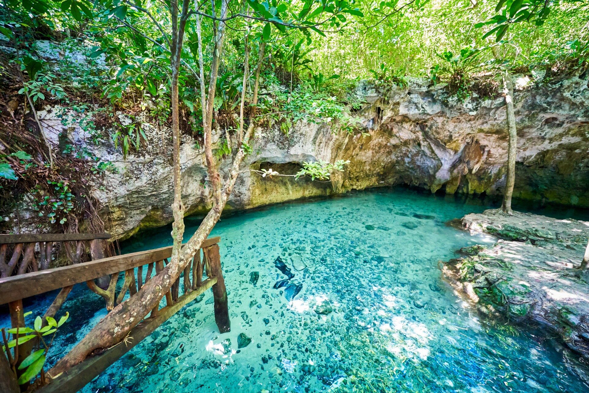 12 Best Cenotes in the Riviera Maya | Celebrity Cruises