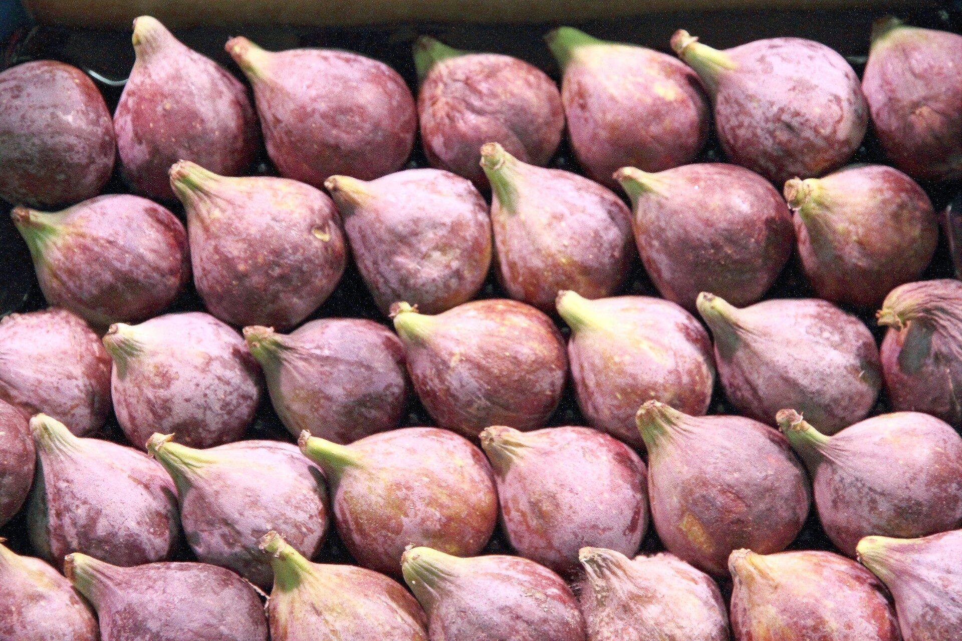 Barcelona in October: Things to Do, Weather, & What to Expect ...