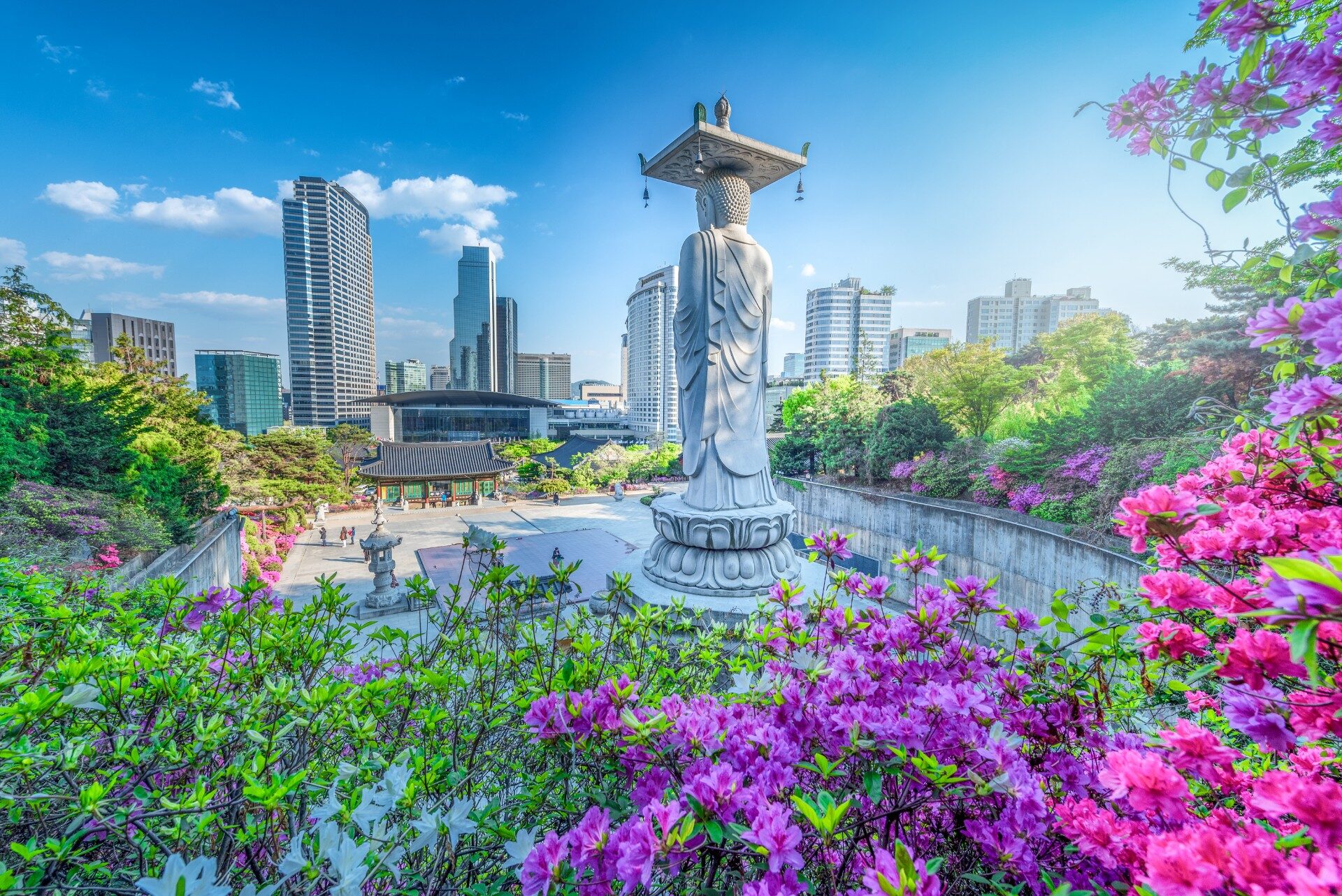 15 Best Places to Visit in Seoul | Celebrity Cruises