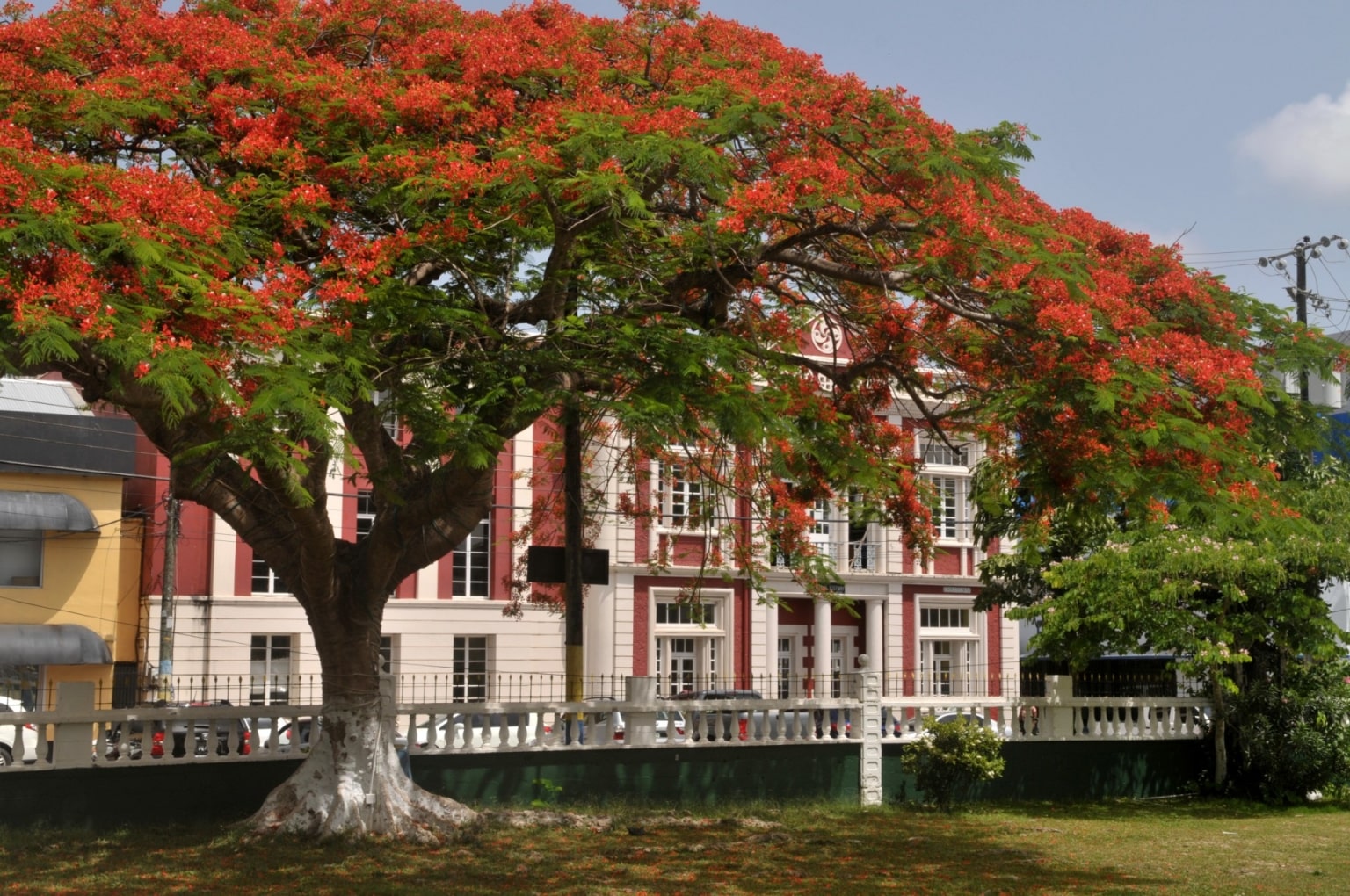 Insider’s Guide to Castries, St. Lucia | Celebrity Cruises