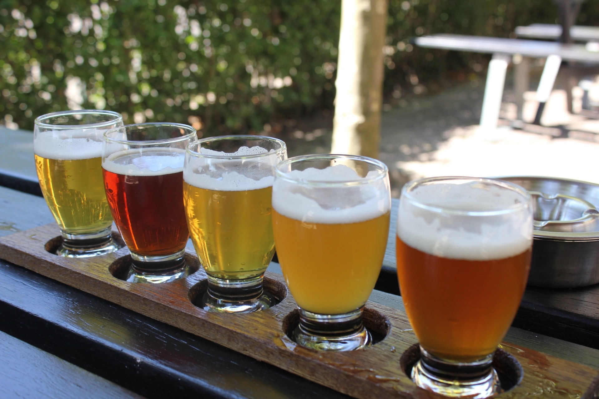 What Are the Netherlands Known For? | Celebrity Cruises