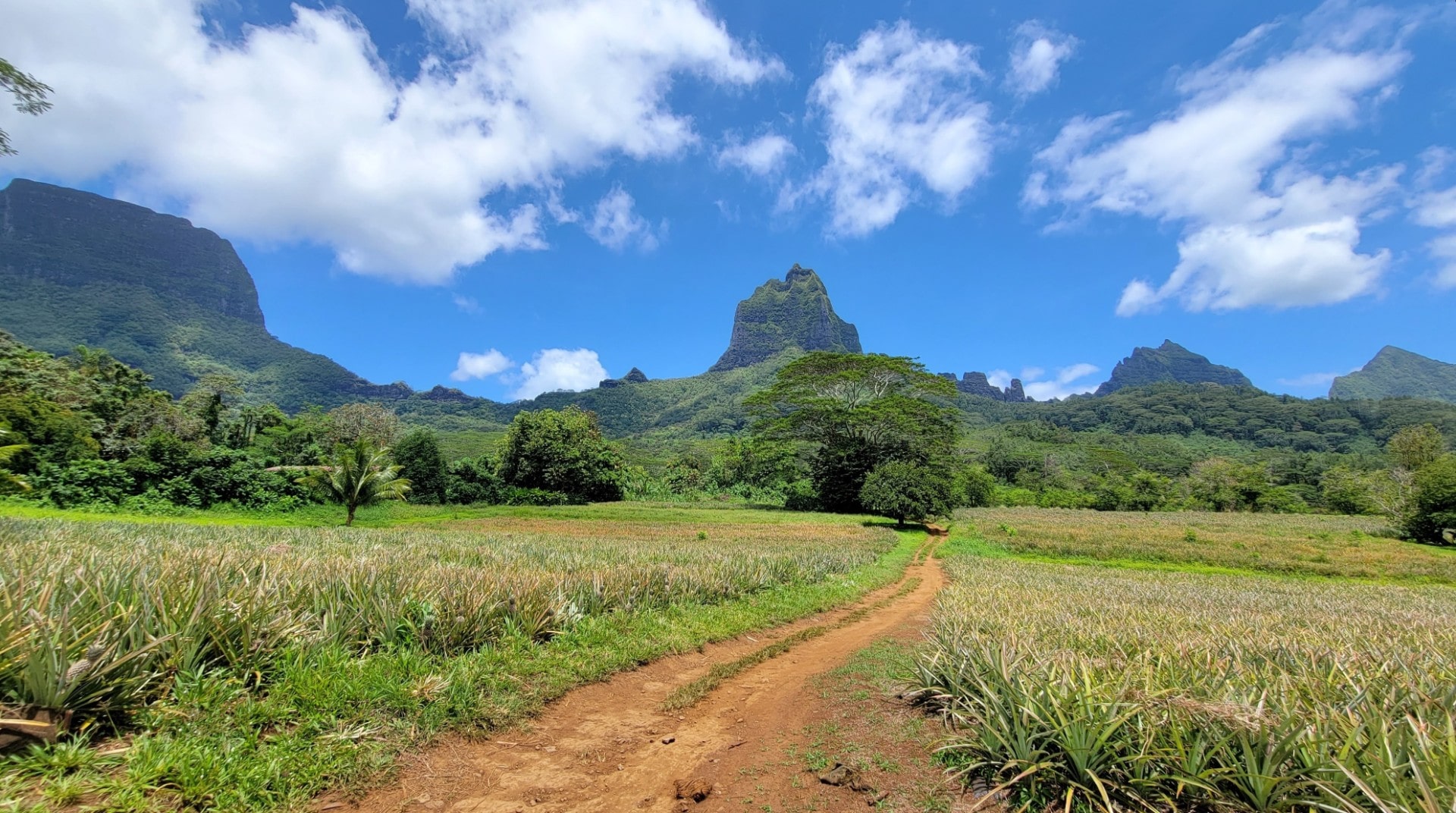 When Is the Best Time to Visit French Polynesia? | Celebrity Cruises