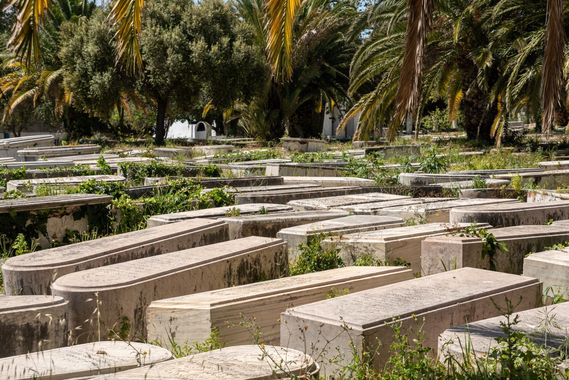 15 Best Things to Do in Tangier | Celebrity Cruises