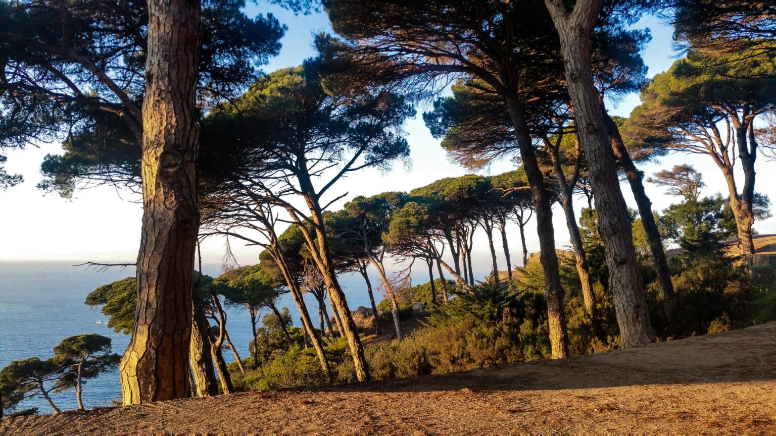 15 Best Things to Do in Tangier | Celebrity Cruises