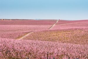 Spain in March: Where to Go, Weather, & What to Expect | Celebrity Cruises