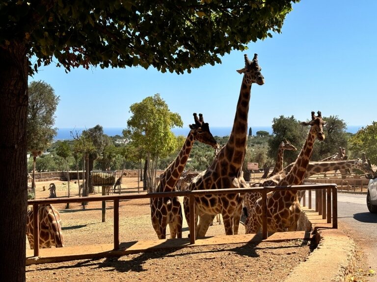 14 Best Places to Visit in Italy with Kids | Celebrity Cruises