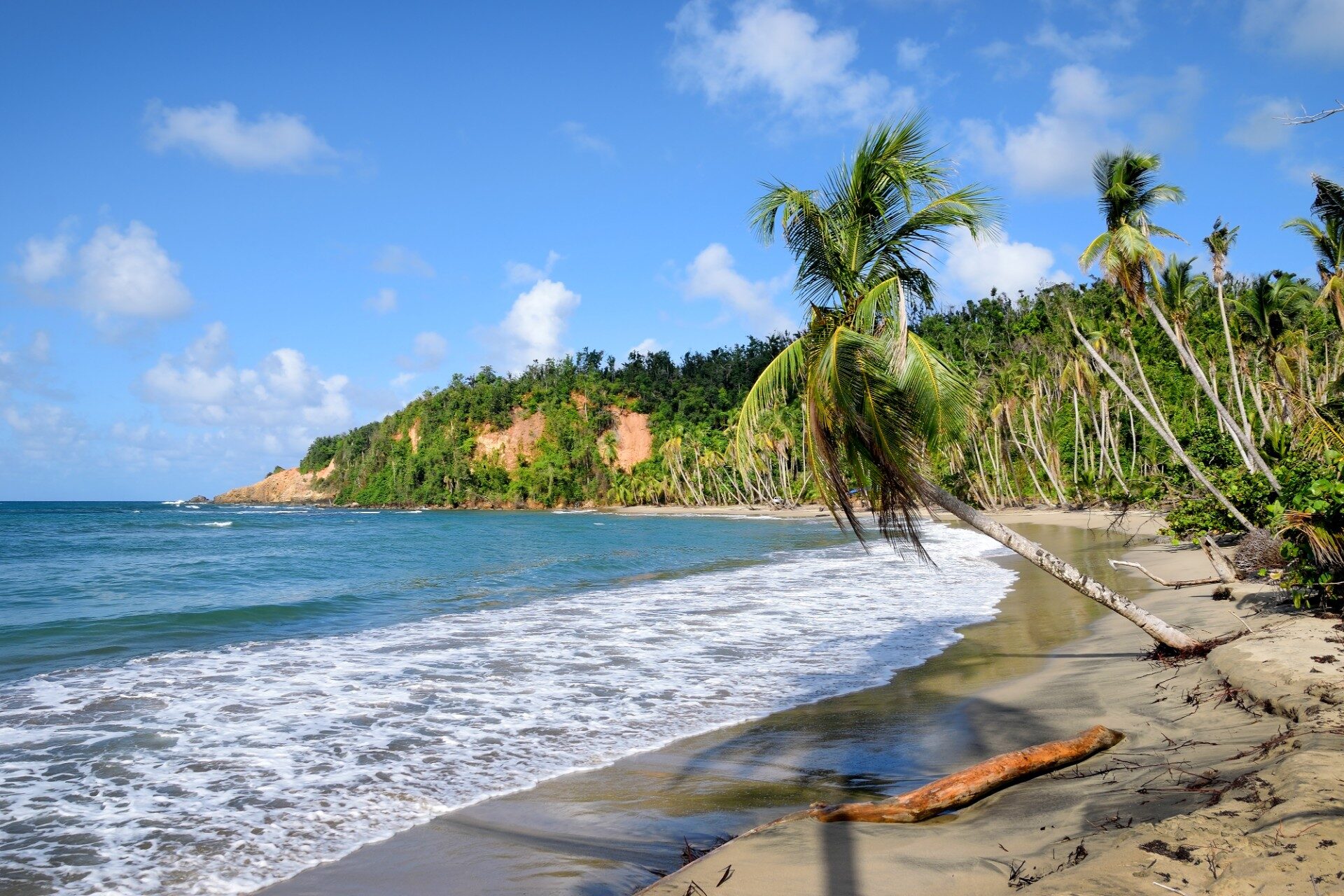 12 Best Beaches in Dominica | Celebrity Cruises