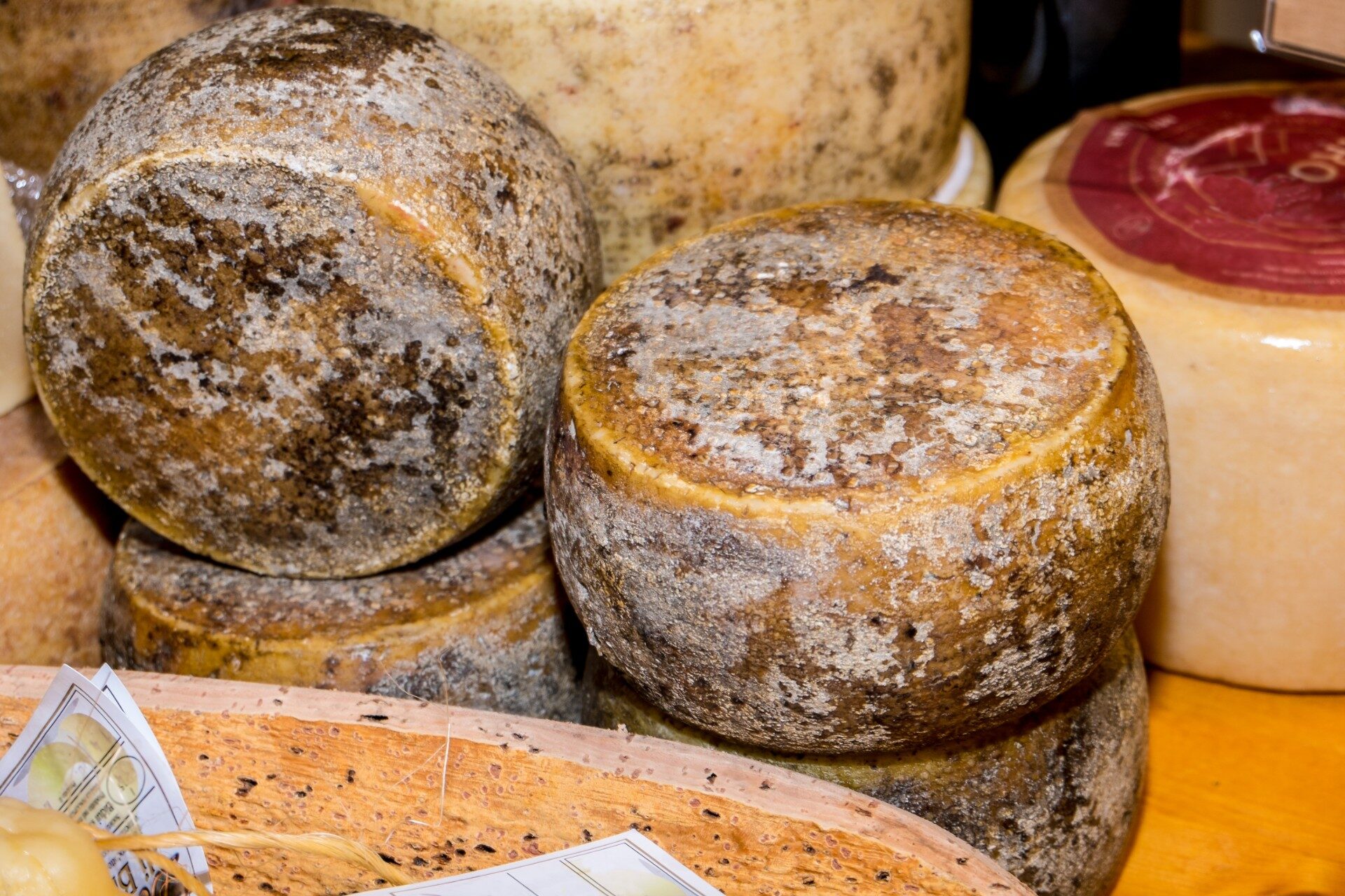 The Ultimate Sardinian Food Guide | Celebrity Cruises