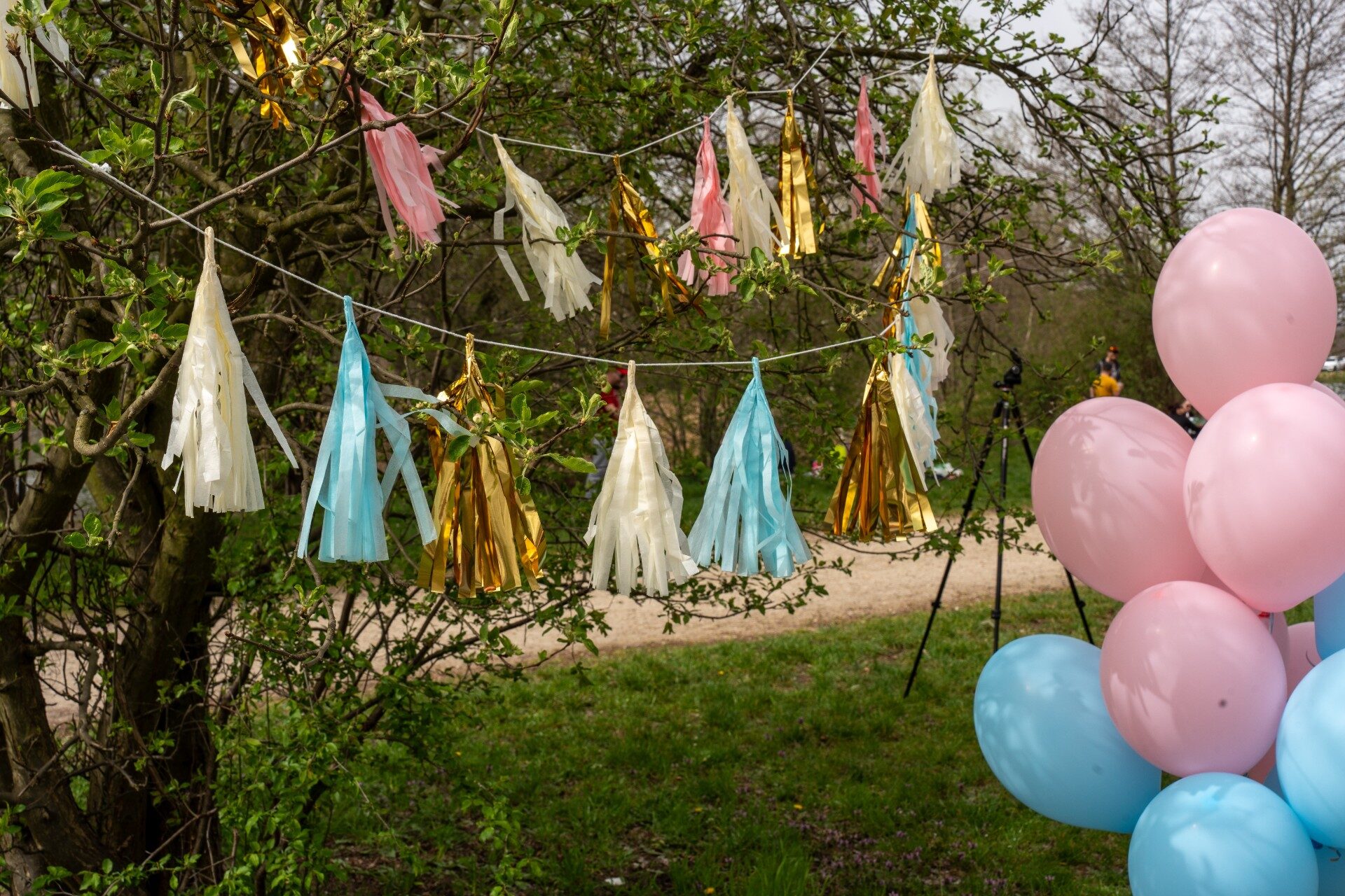 Spring in Ireland: Things to Do, Weather, & What to Expect | Celebrity ...