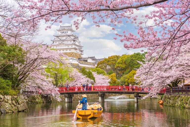 Spring in Japan: Things to Do, Weather, & What to Expect