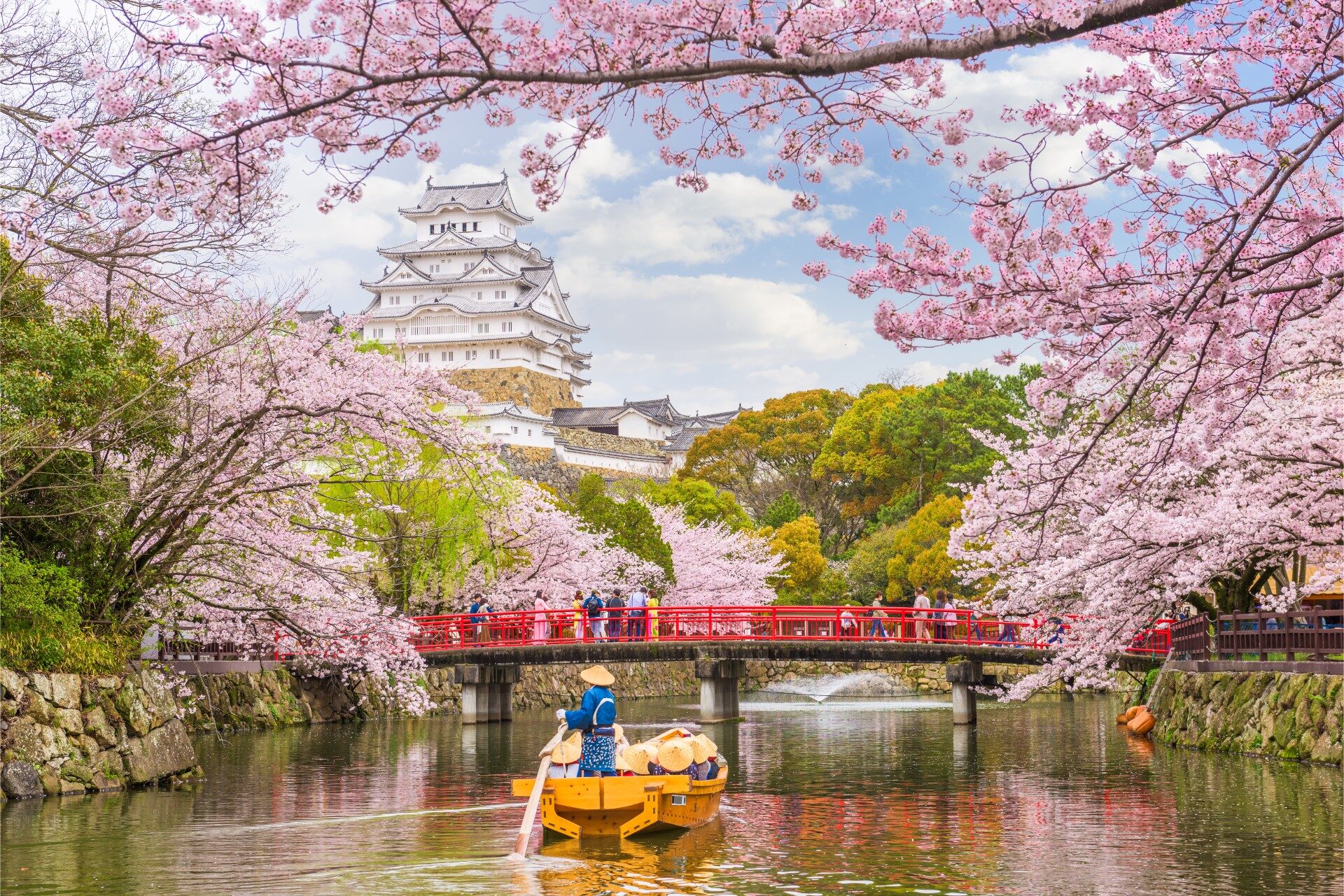 Spring in Japan: Things to Do, Weather, & What to Expect