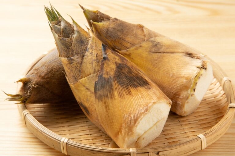 Spring in Japan: Things to Do, Weather, & What to Expect