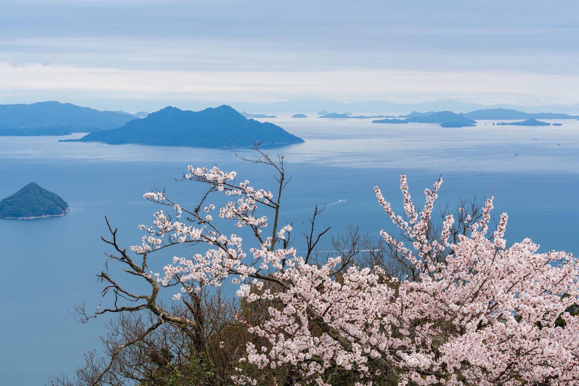 Spring in Japan: Things to Do, Weather, & What to Expect