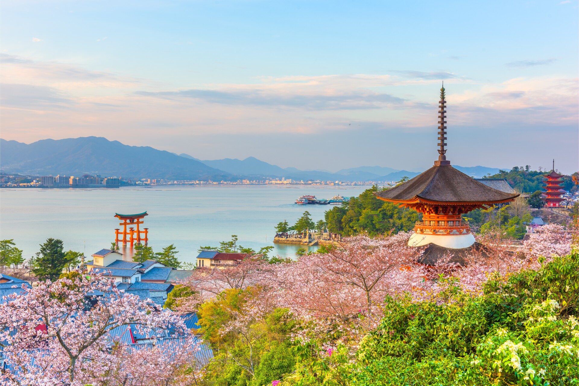 Spring in Japan: Things to Do, Weather, & What to Expect