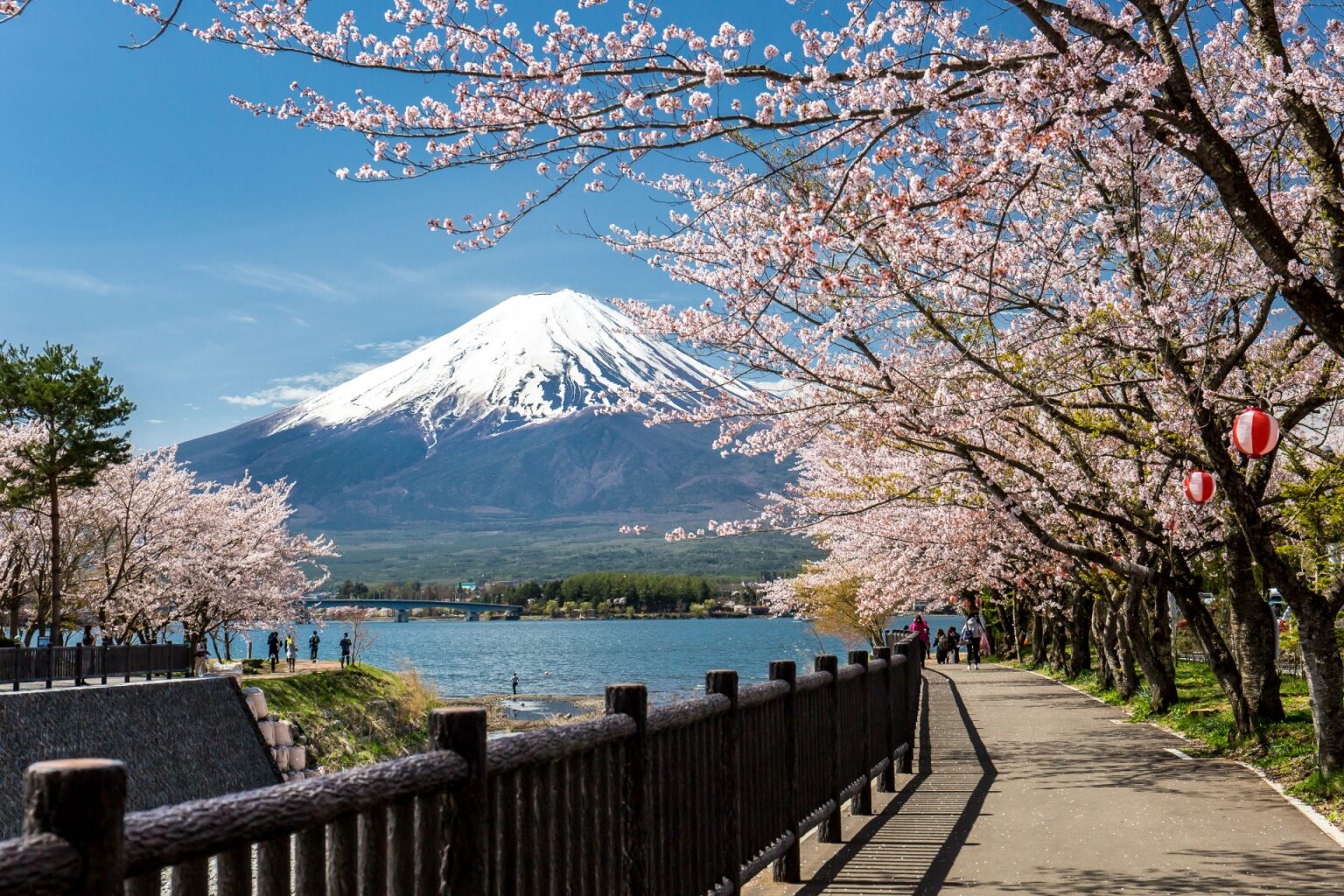 Spring in Japan: Things to Do, Weather, & What to Expect
