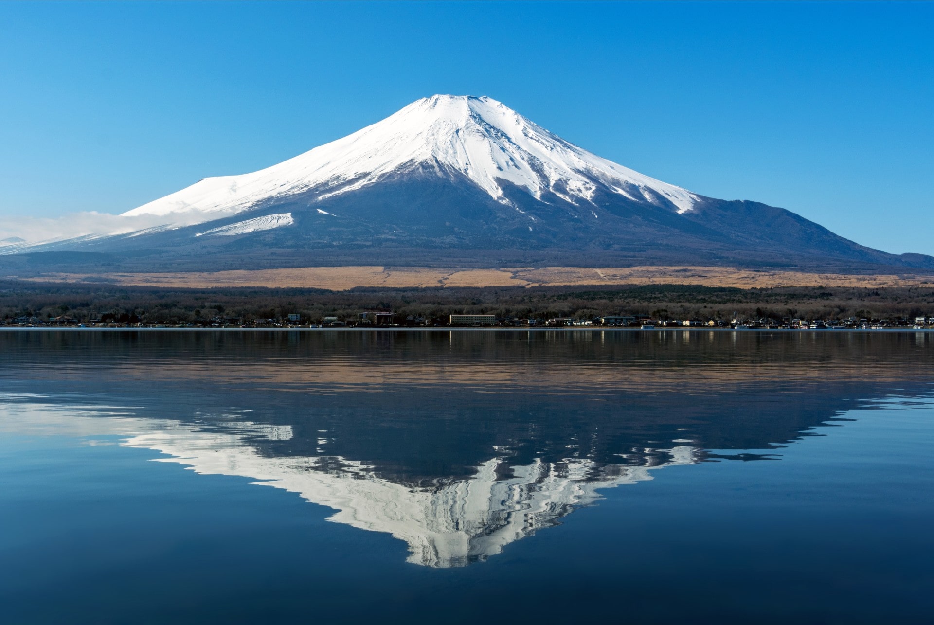 Spring in Japan: Things to Do, Weather, & What to Expect