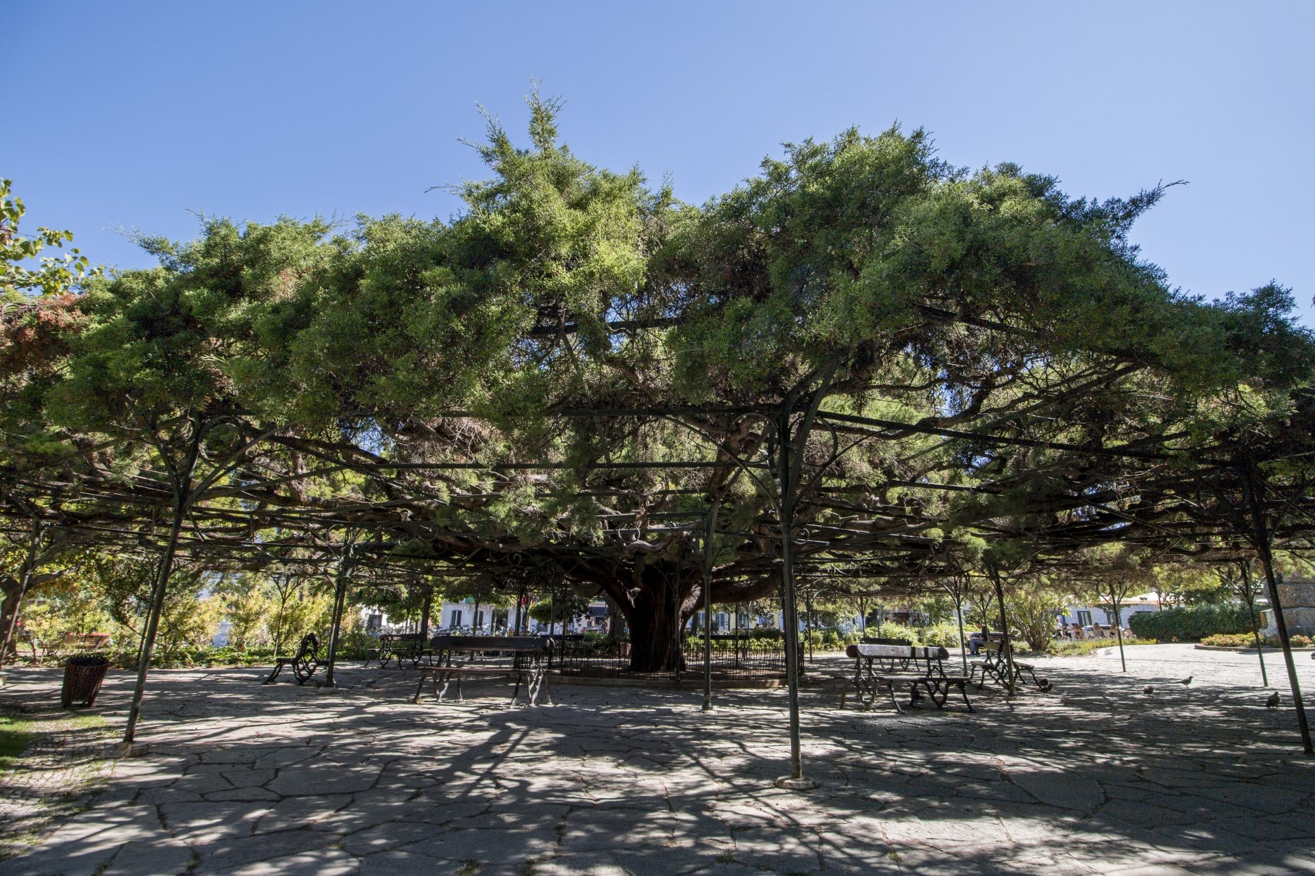 Insider's Guide to Príncipe Real, Lisbon | Celebrity Cruises