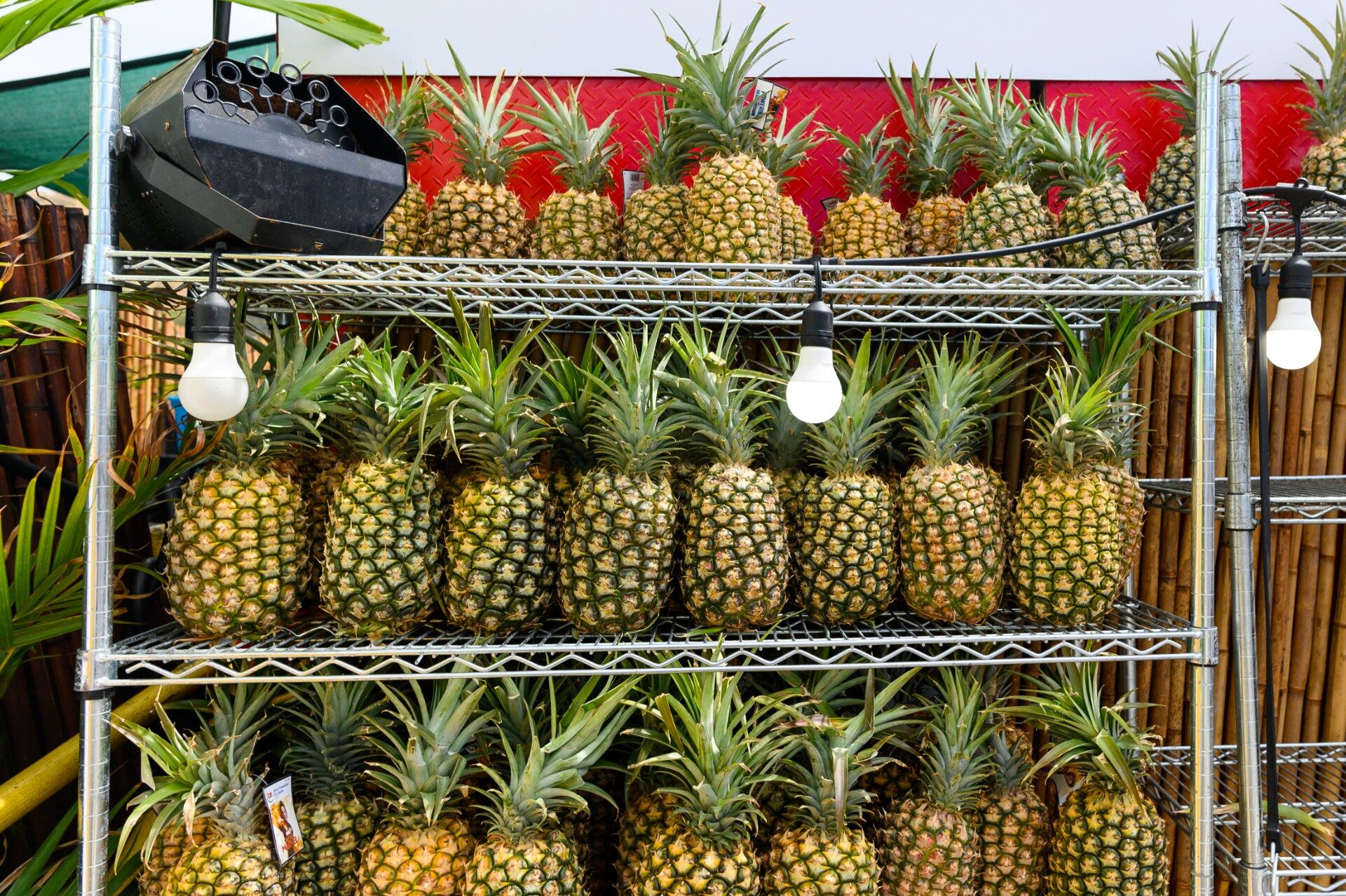 13 Best Souvenirs From Hawaii | Celebrity Cruises