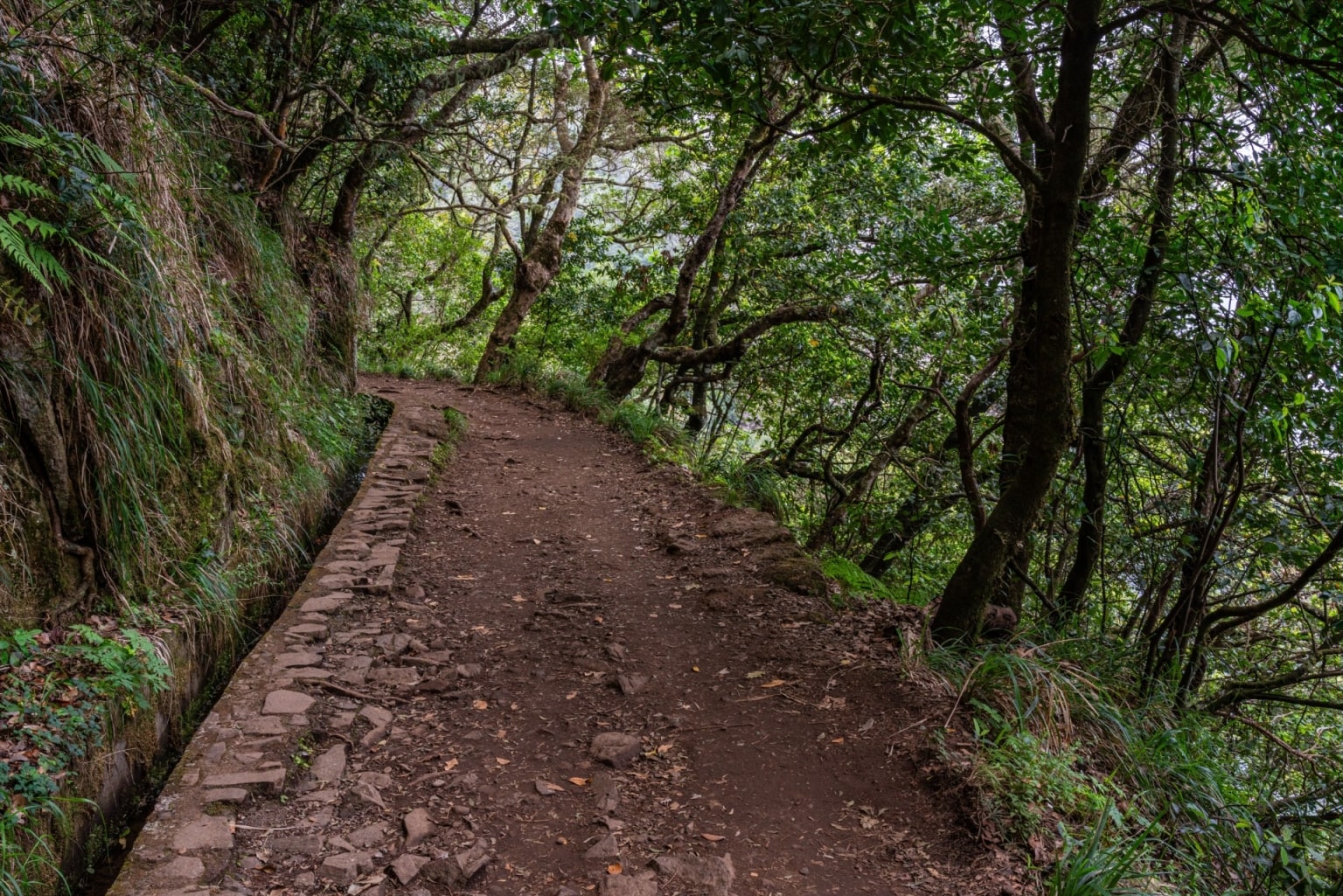 12 Best Hikes in Madeira | Celebrity Cruises