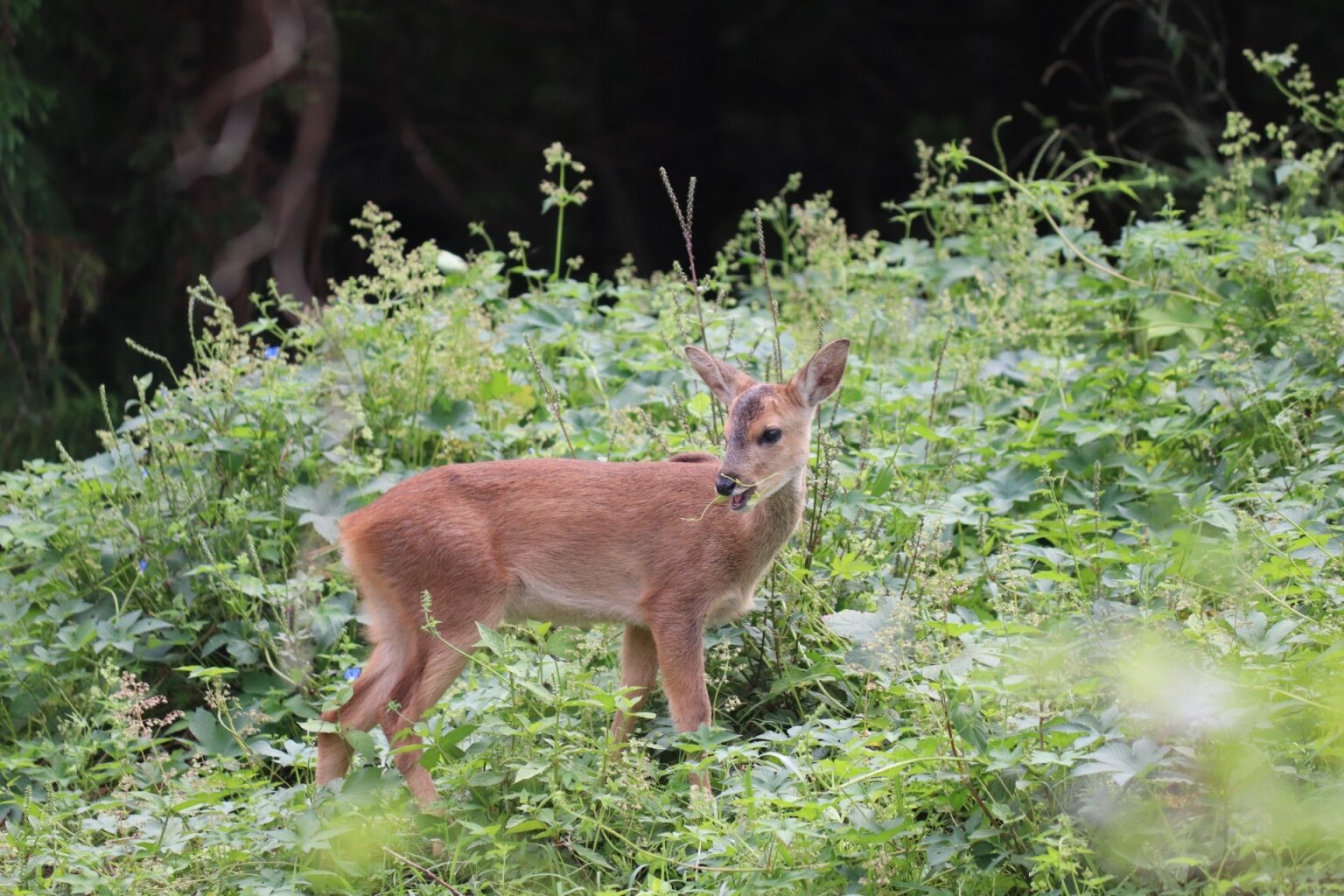 16 Best Day Hikes in the World | Celebrity Cruises