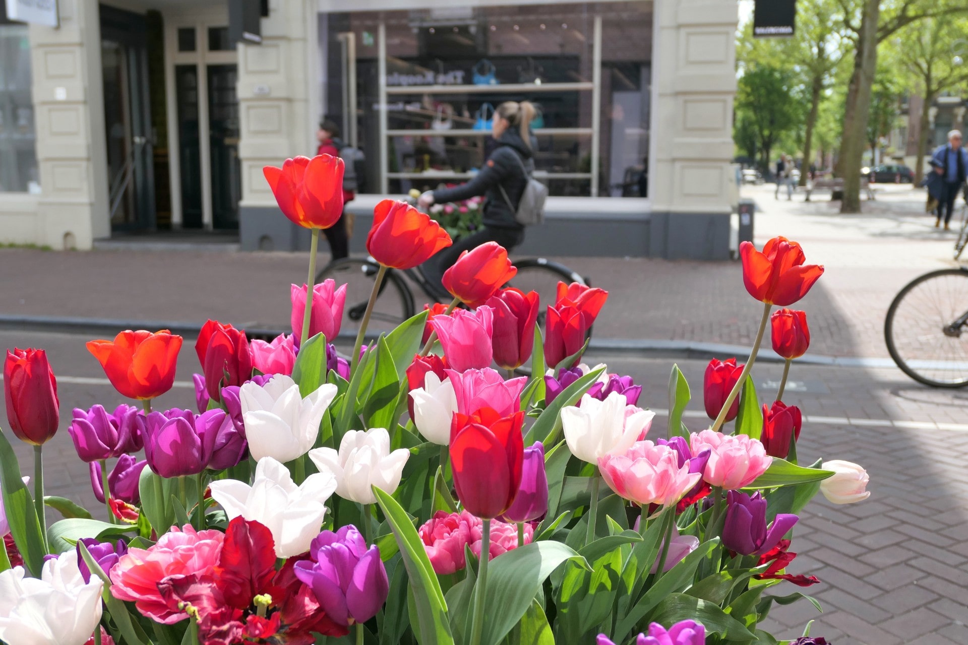 The Ultimate Guide to Shopping in Amsterdam: Where to Go & What to Buy