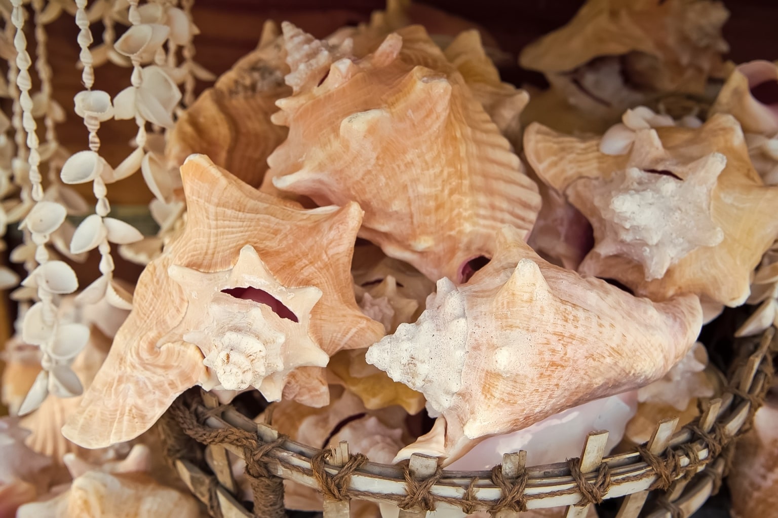 The Ultimate Guide to the Best Shopping in Key West | Celebrity Cruises