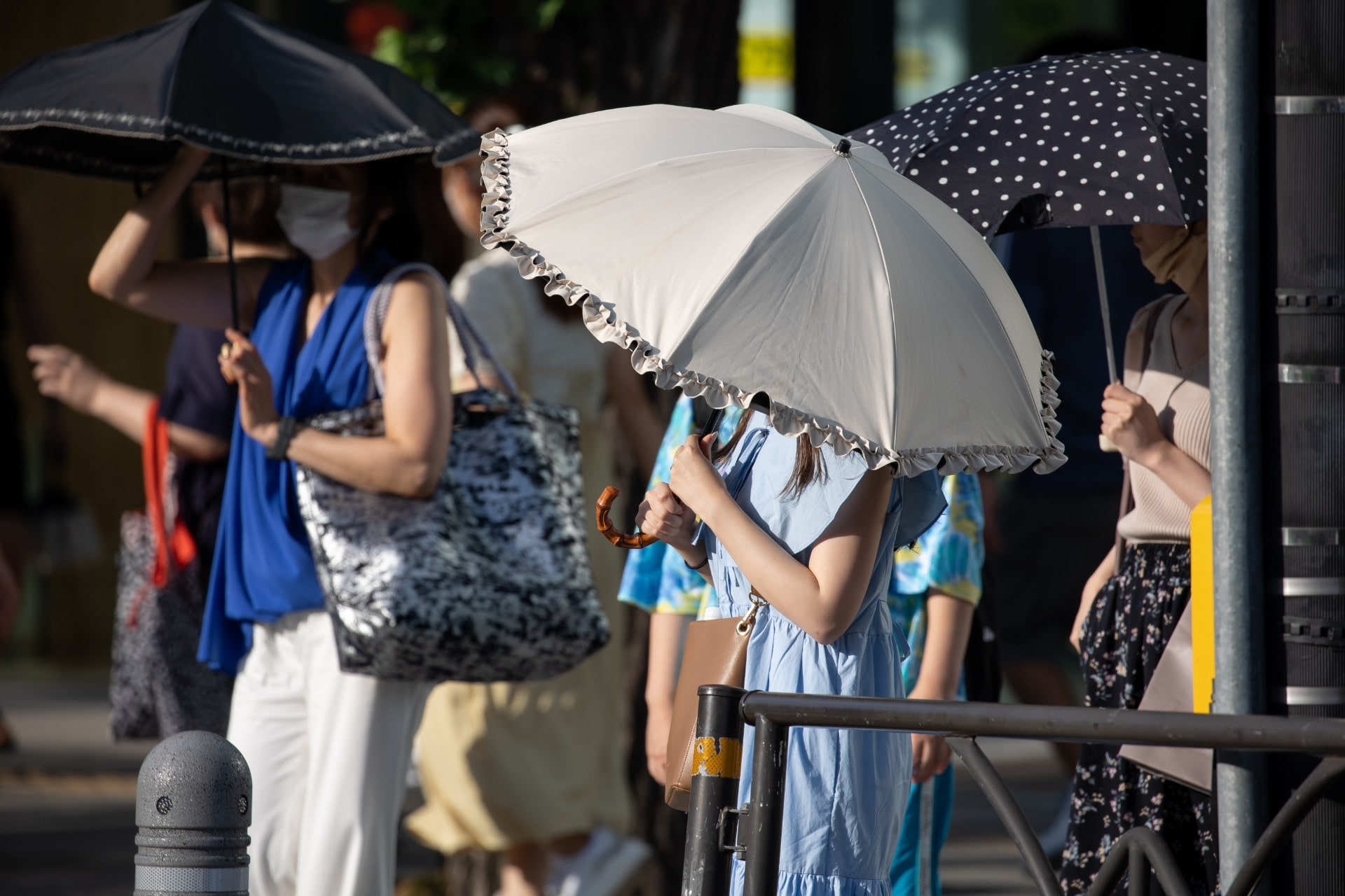 Summer in Japan: Things to Do, Weather, & What to Expect